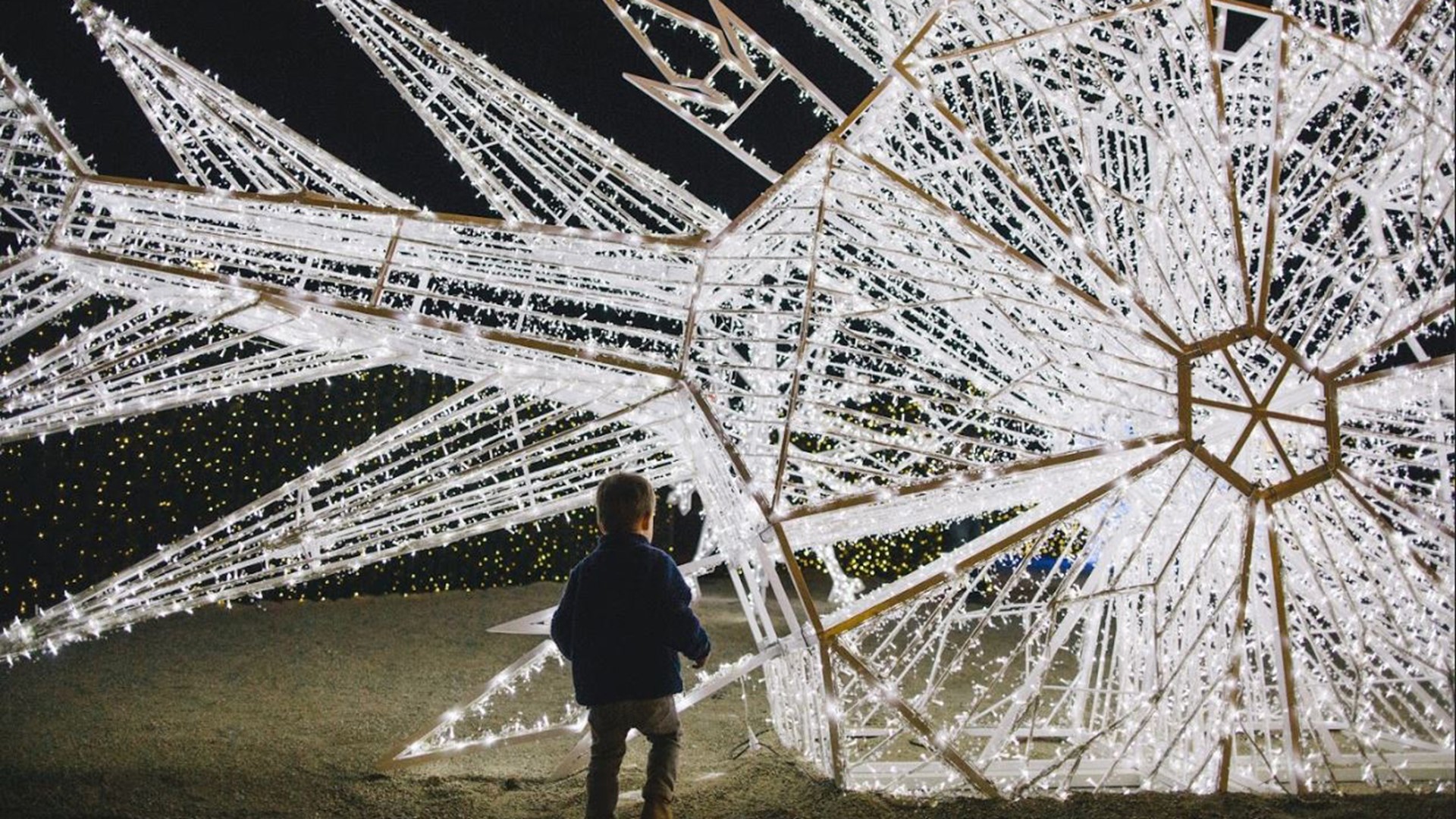 Massive holiday light maze coming to Safeco Field this winter | king5.com