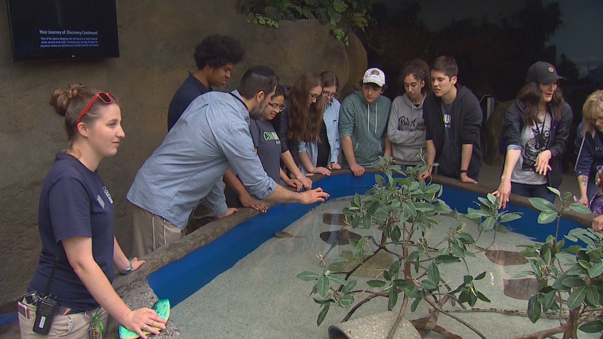 Tacoma students go to school at Point Defiance Zoo | king5.com