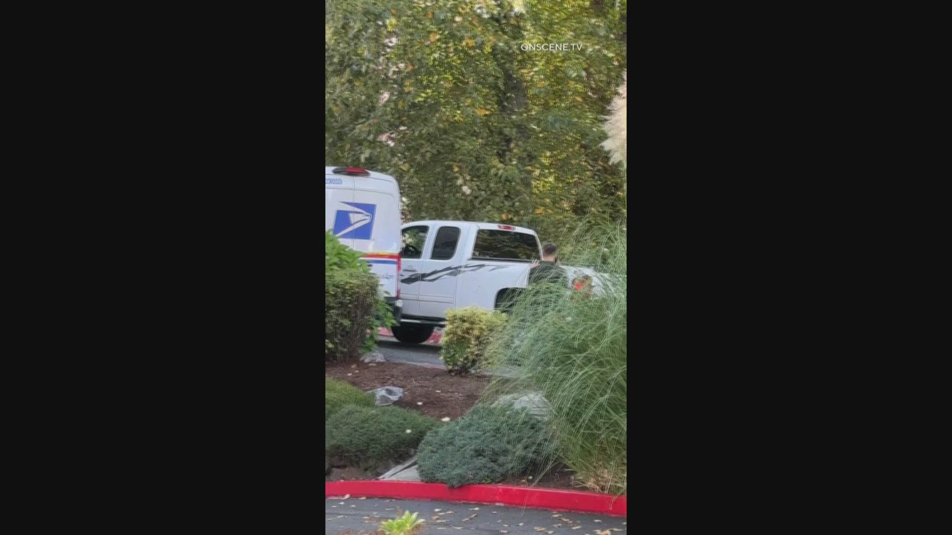 USPS worker shot in Everett; package driver in custody | king5.com