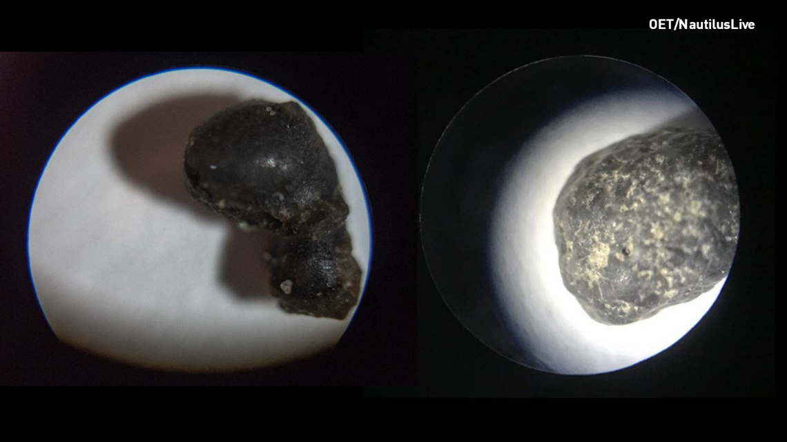 NASA scientist 'optimistic' space fragments found off Washington coast ...