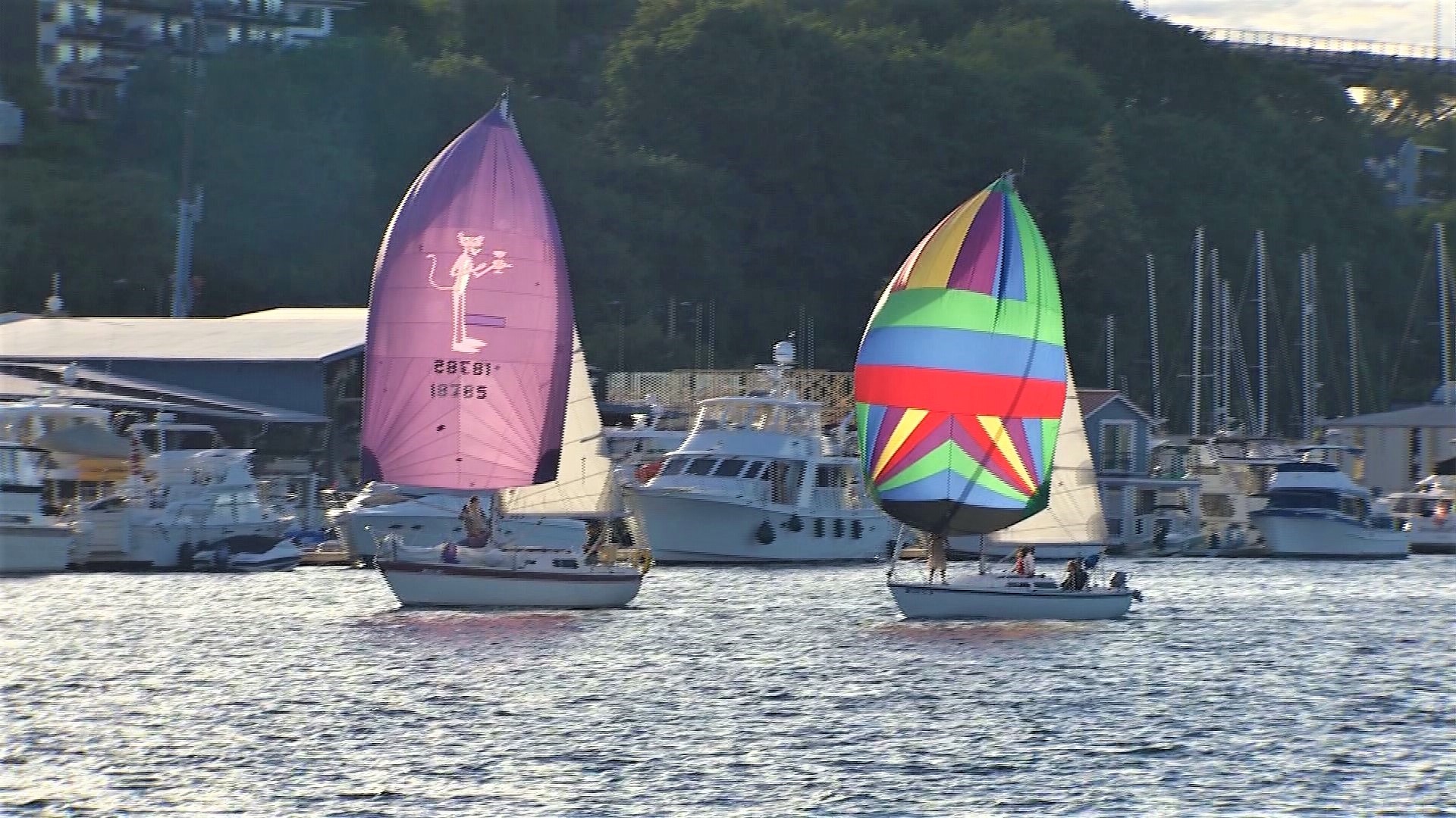 Seattle's wackiest boating tradition happens every Tuesday night this ...