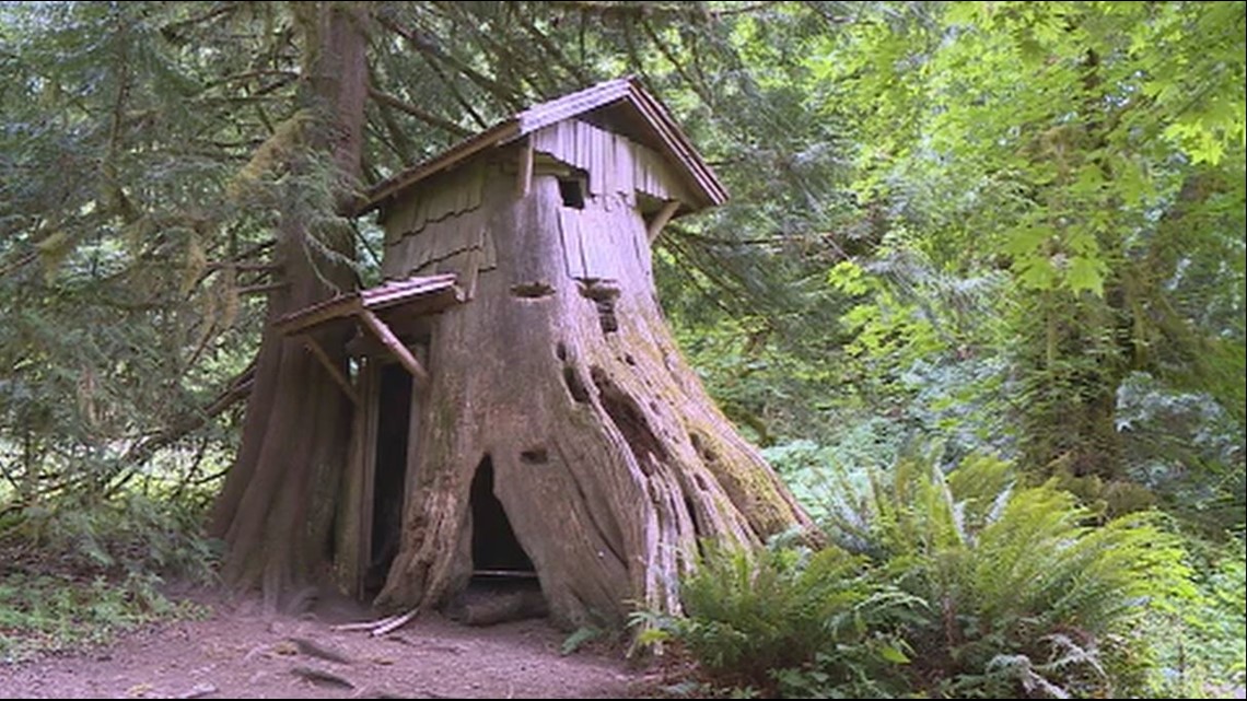 Short hike to a cool spot: Guillemot Cove stump house | king5.com