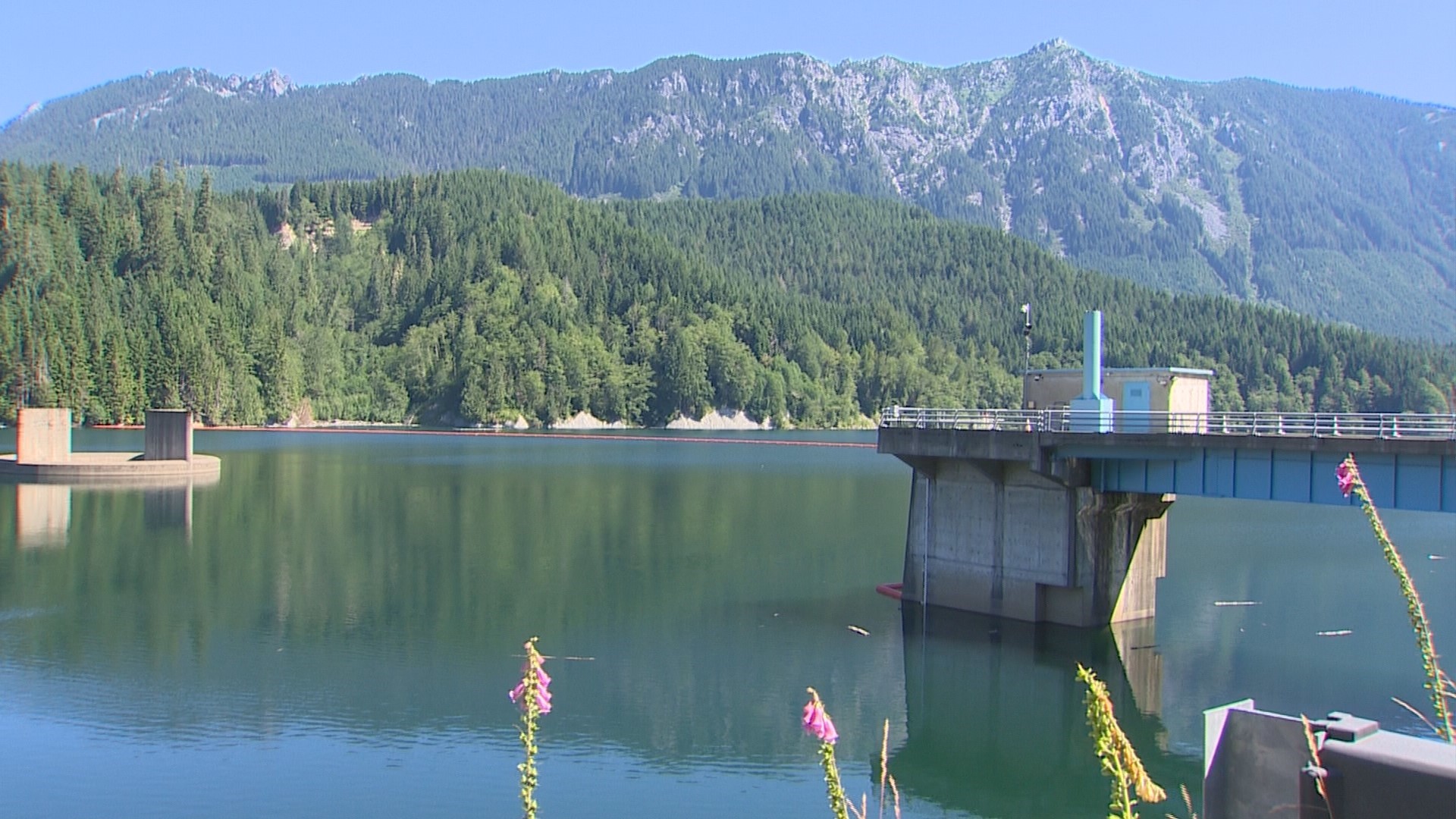 Controlling water temperature for Snohomish fish habitat | king5.com