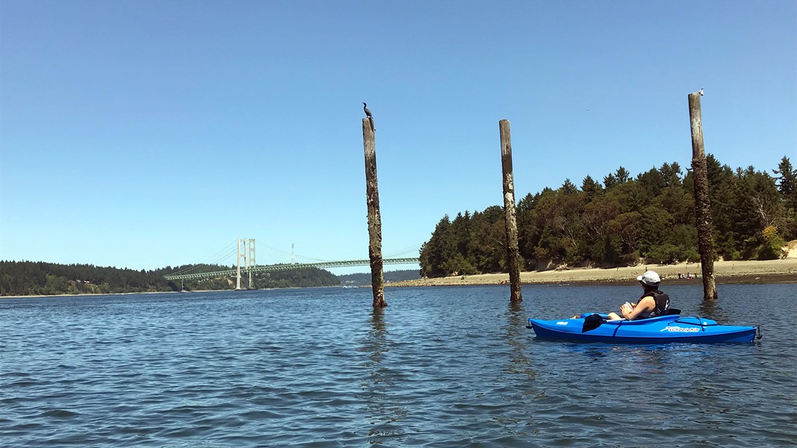 Tacoma’s Titlow Park reveals riches of the sea | king5.com