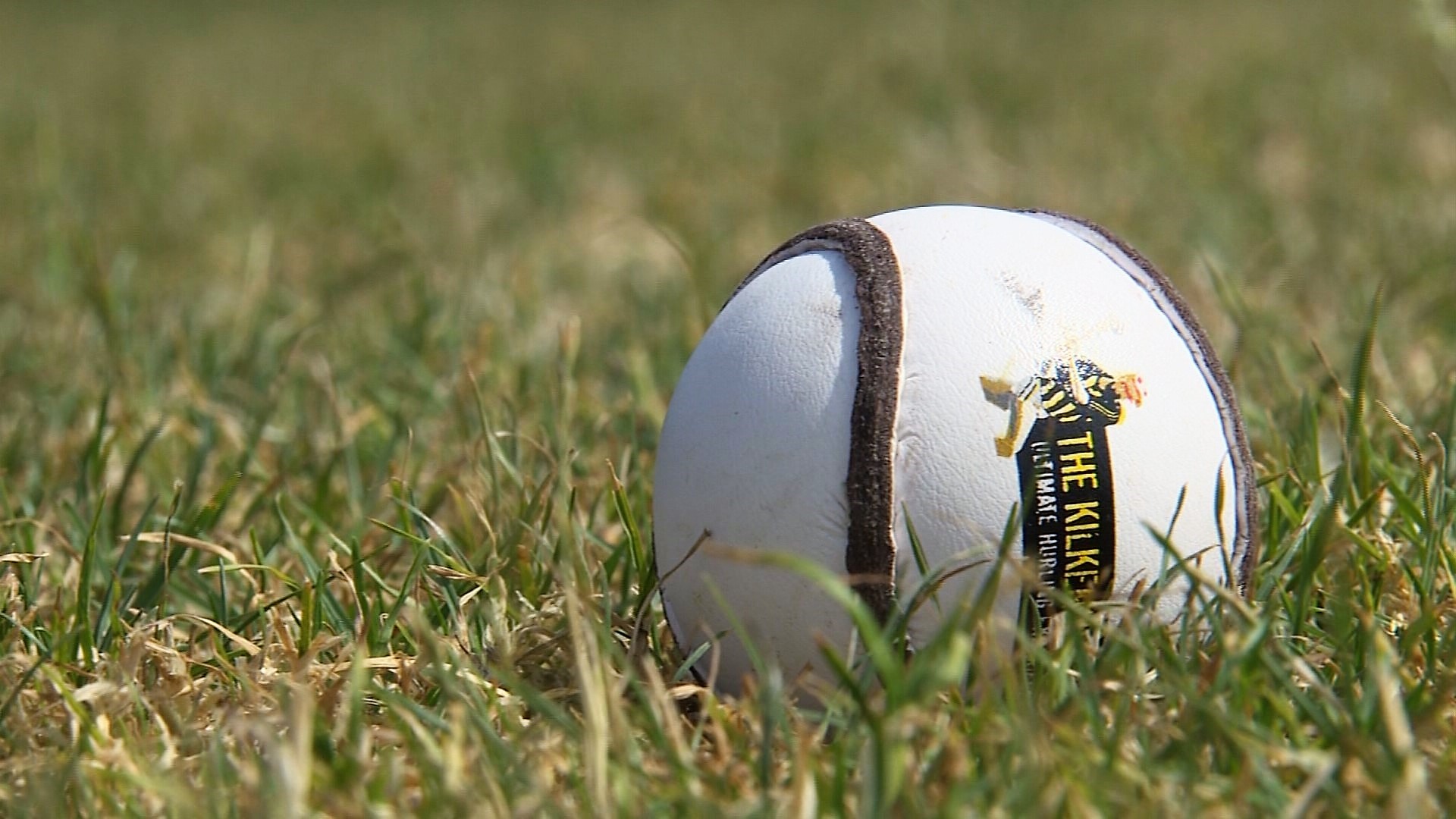 Learn the basics of Ireland's 3,000 year old national sport - KING 5 ...