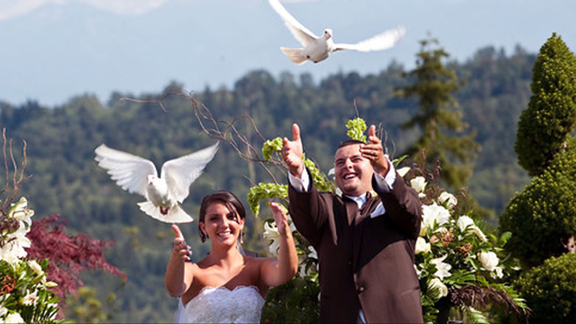 A closer look at the peaceful display of white dove releases | king5.com
