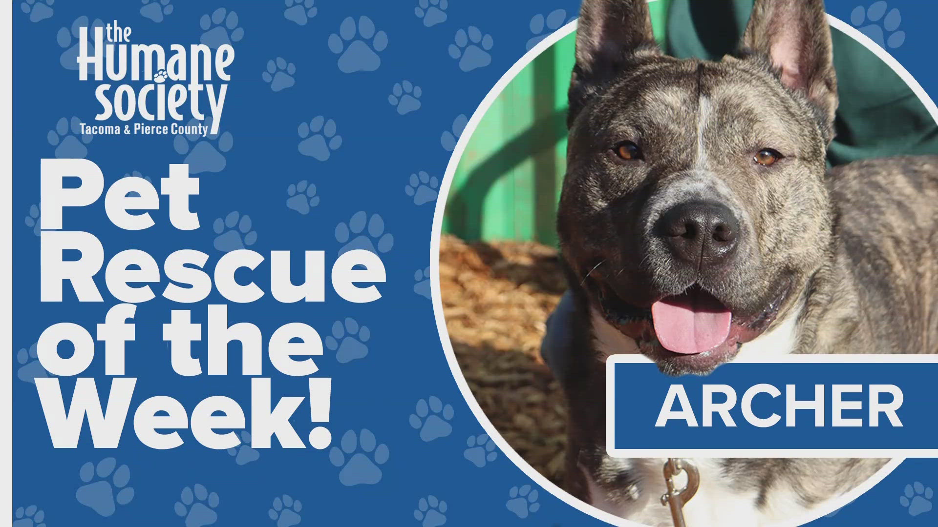 There is a massive demand for World Cup tickets and savvy resellers ...