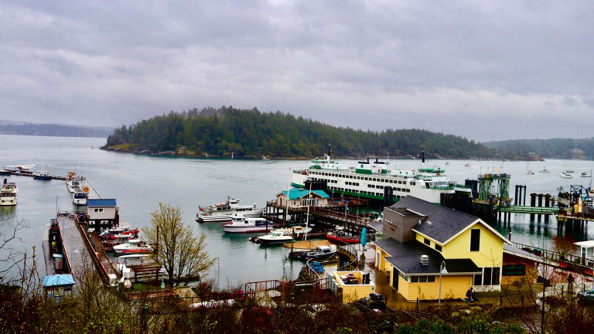 Explore the San Juan Islands with travel blogger Stephanie Forrer ...