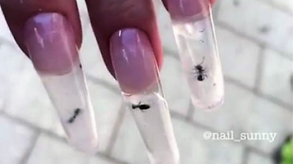 Ants in your pants? No, in your nails! | king5.com