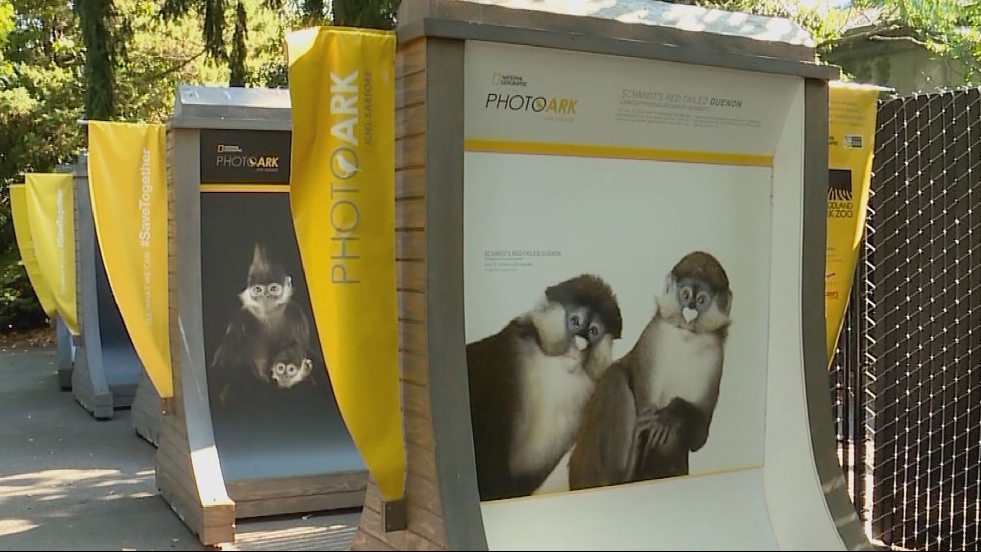 National Geographic Photo Ark on display at Woodland Park Zoo | king5.com