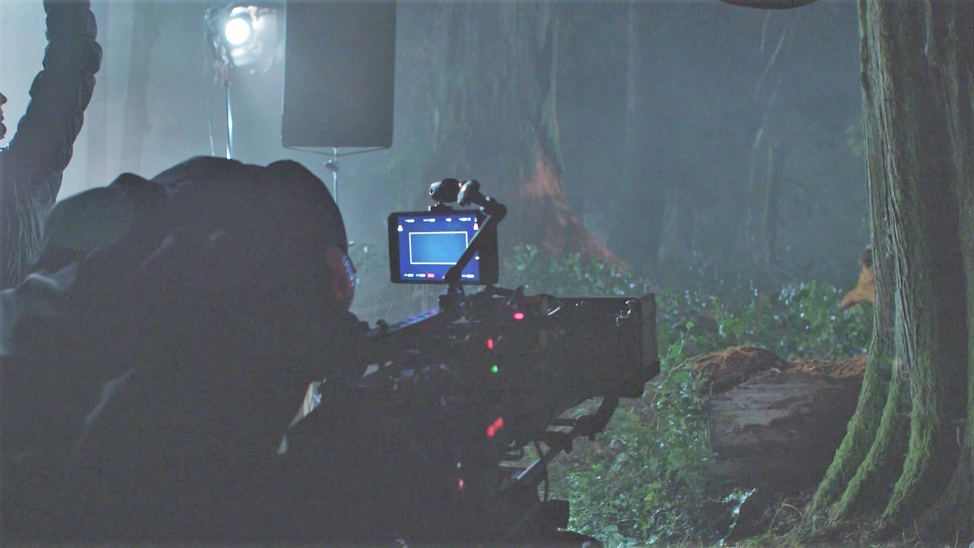 'The Predator' showcases Pacific Northwest forests and suburbs | king5.com