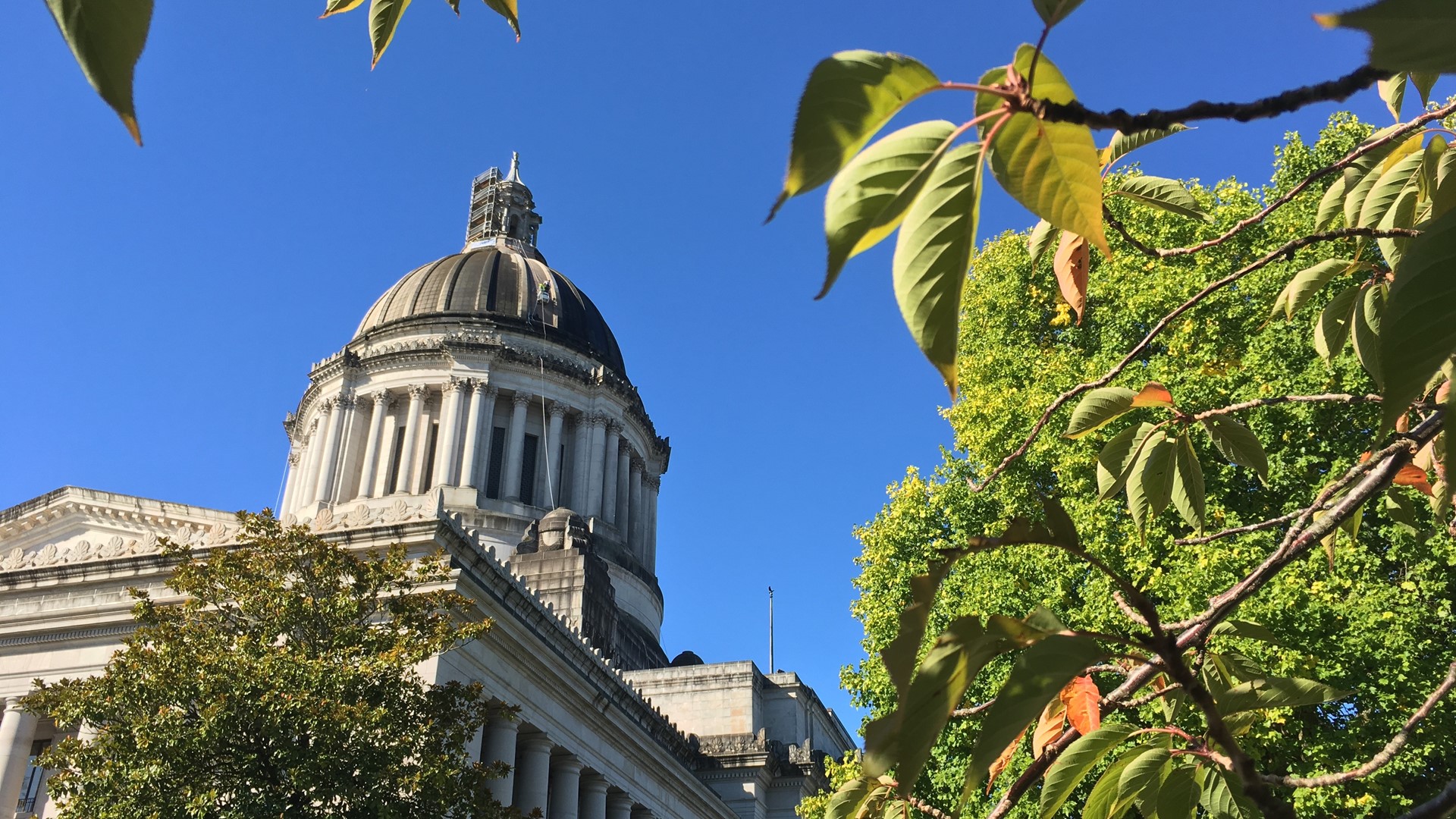 Washington State Capitol dome gets fall cleaning | king5.com