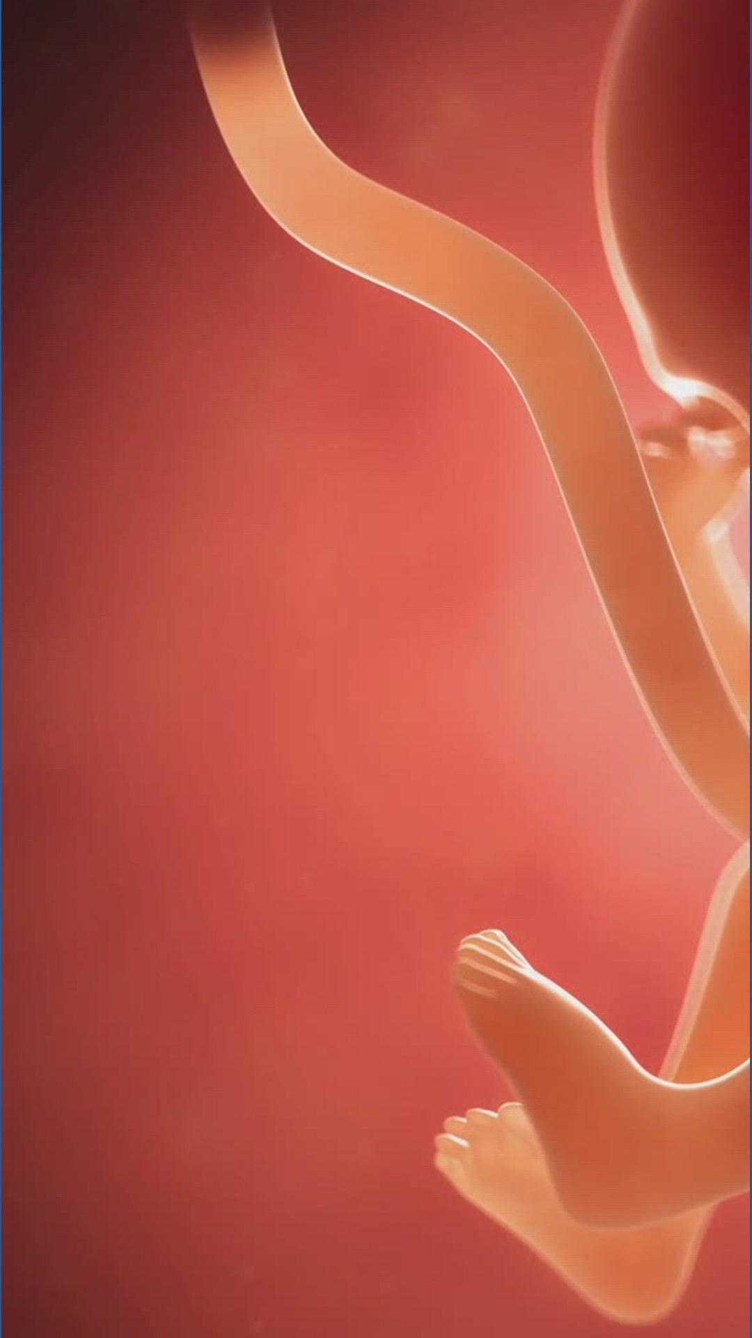 Smartphone app study shows promise in monitoring fetal heart rate ...