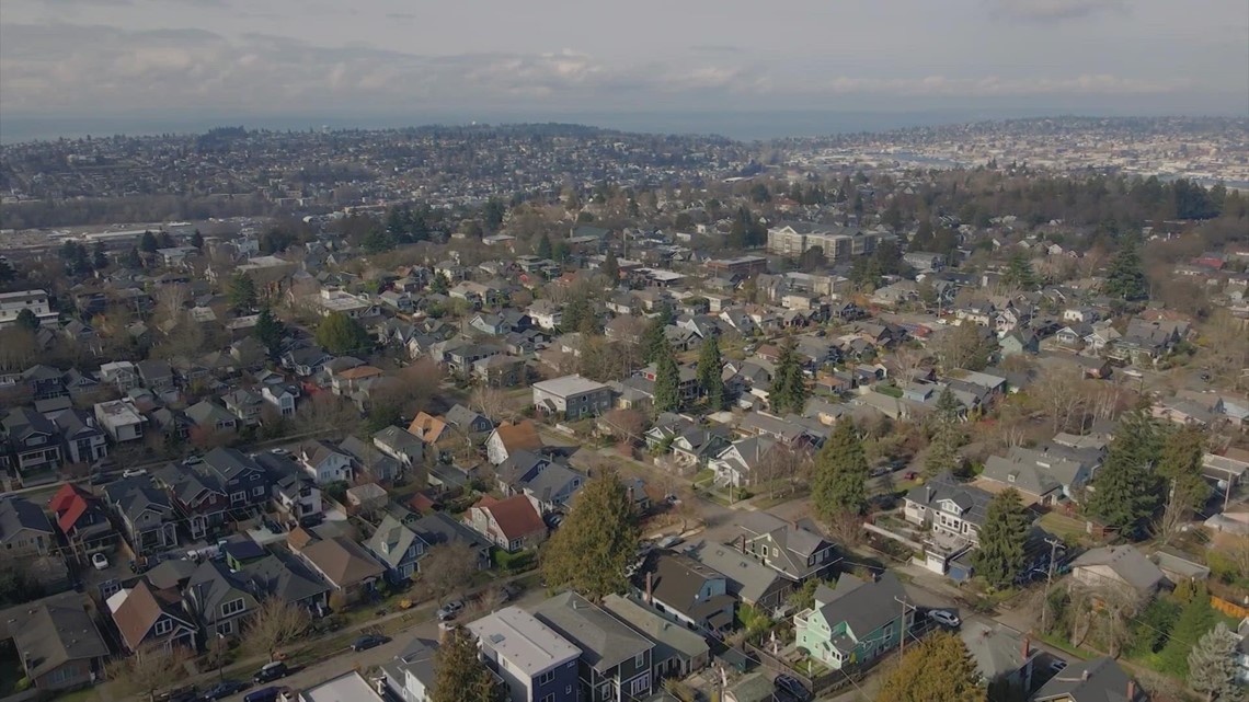 Seattle has lost 255 acres of tree canopy since 2016, report shows ...