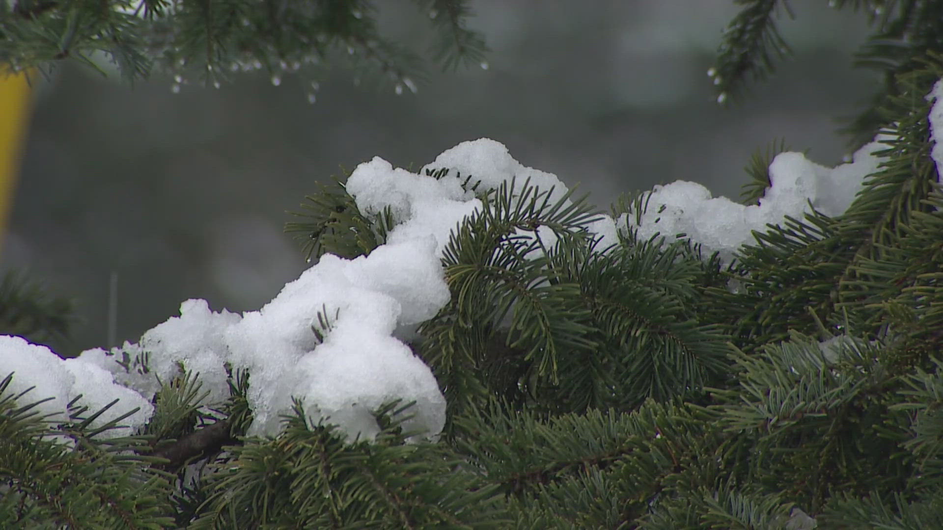 Blizzard Warning issued for Cascades, Olympics as series of storms move ...