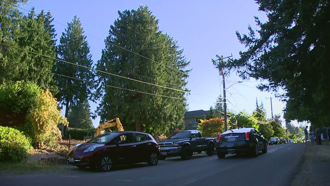 Seattle neighbors, activists rally to save 80-foot tree from being cut ...