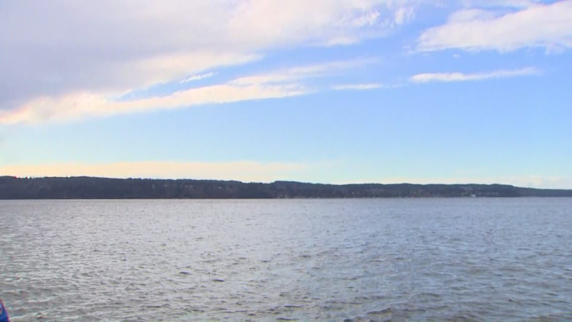 Experts seek ways to avoid 'dead zones' in Puget Sound caused by excess ...
