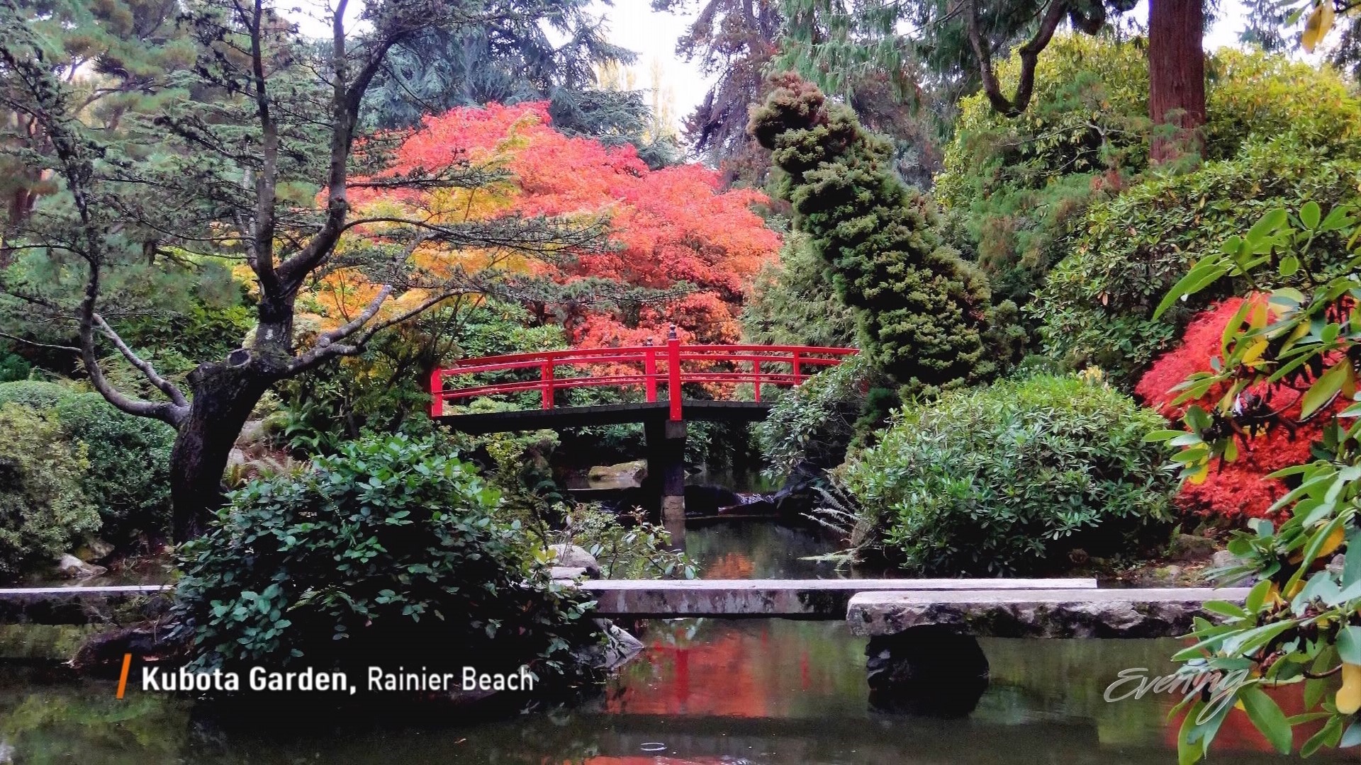 25 things we love about fall in the Pacific Northwest | king5.com