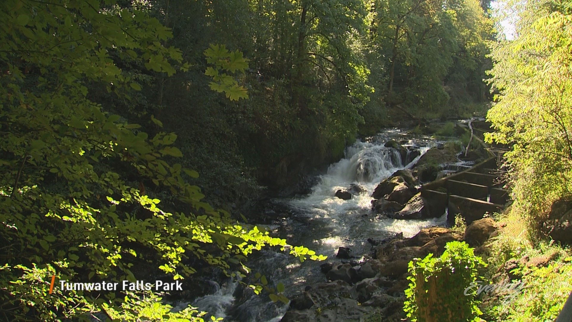 25 things we love about fall in the Pacific Northwest | king5.com