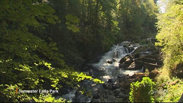 25 things we love about fall in the Pacific Northwest | king5.com