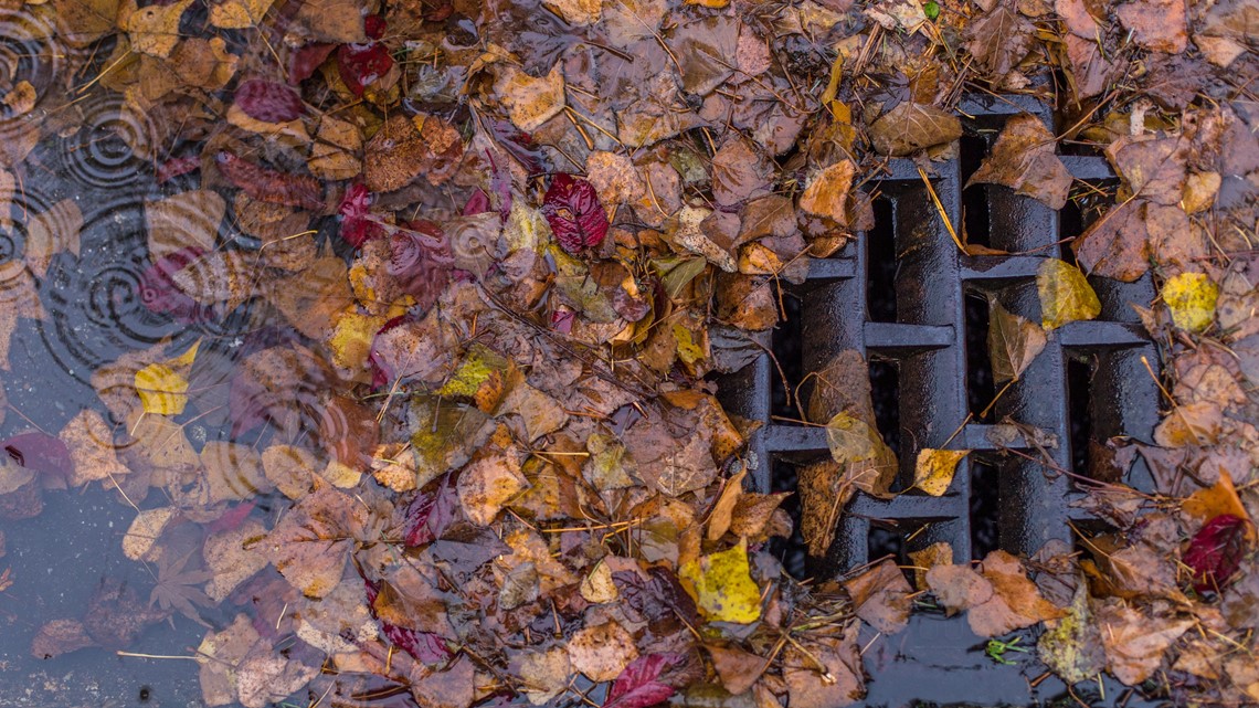 Residents urged to clear storm drains before Puget Sound rain | king5.com