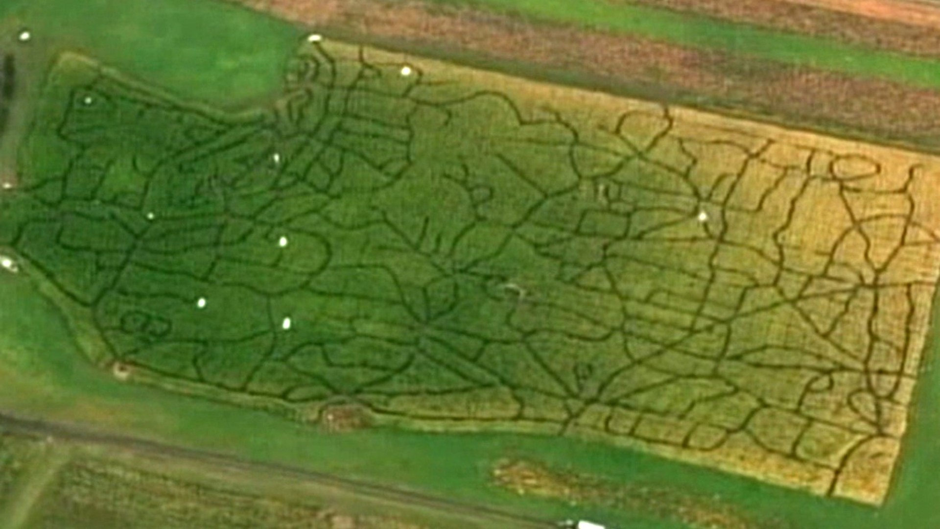 Travel all of Washington at this Snohomish corn maze and pumpkin patch ...