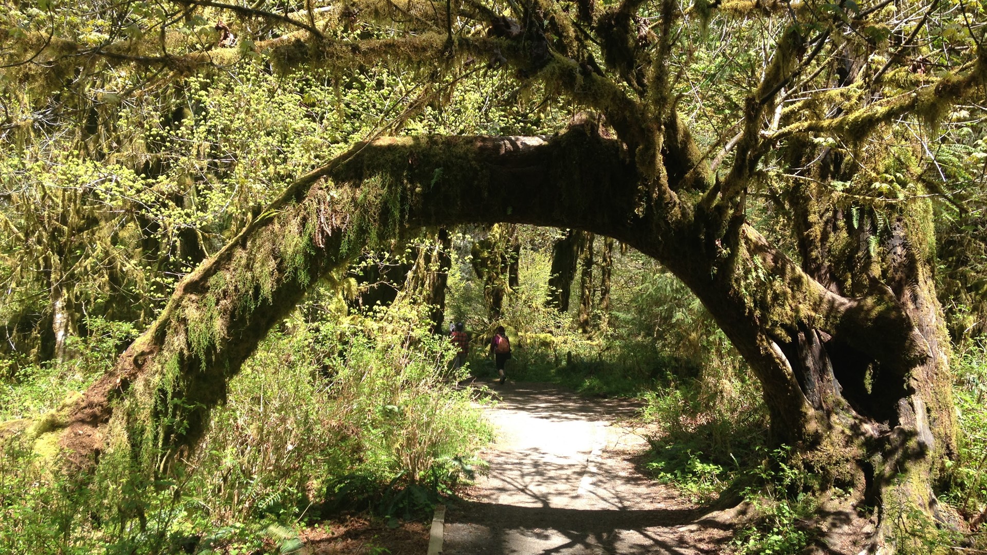 Destination Remote: 7 of the most isolated places in Washington state ...