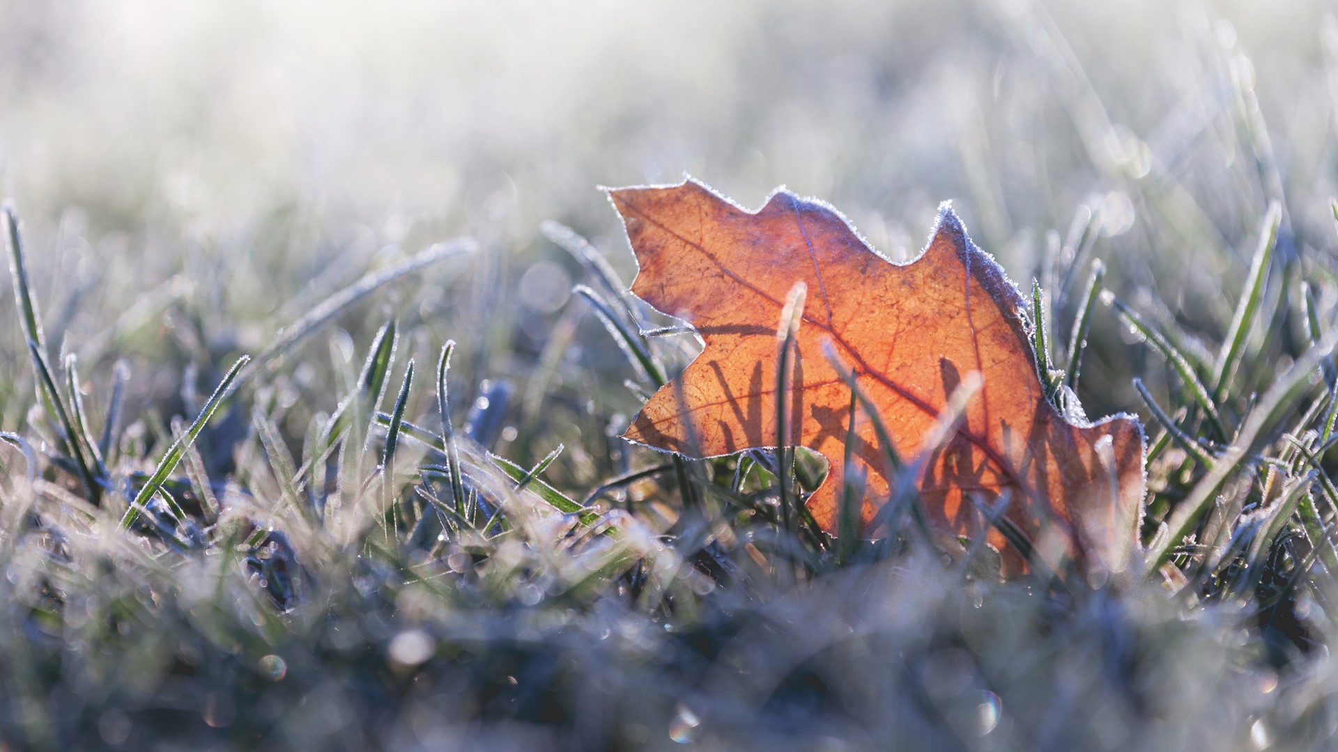 Overnight temperatures to warm slightly, stay below freezing Thursday ...