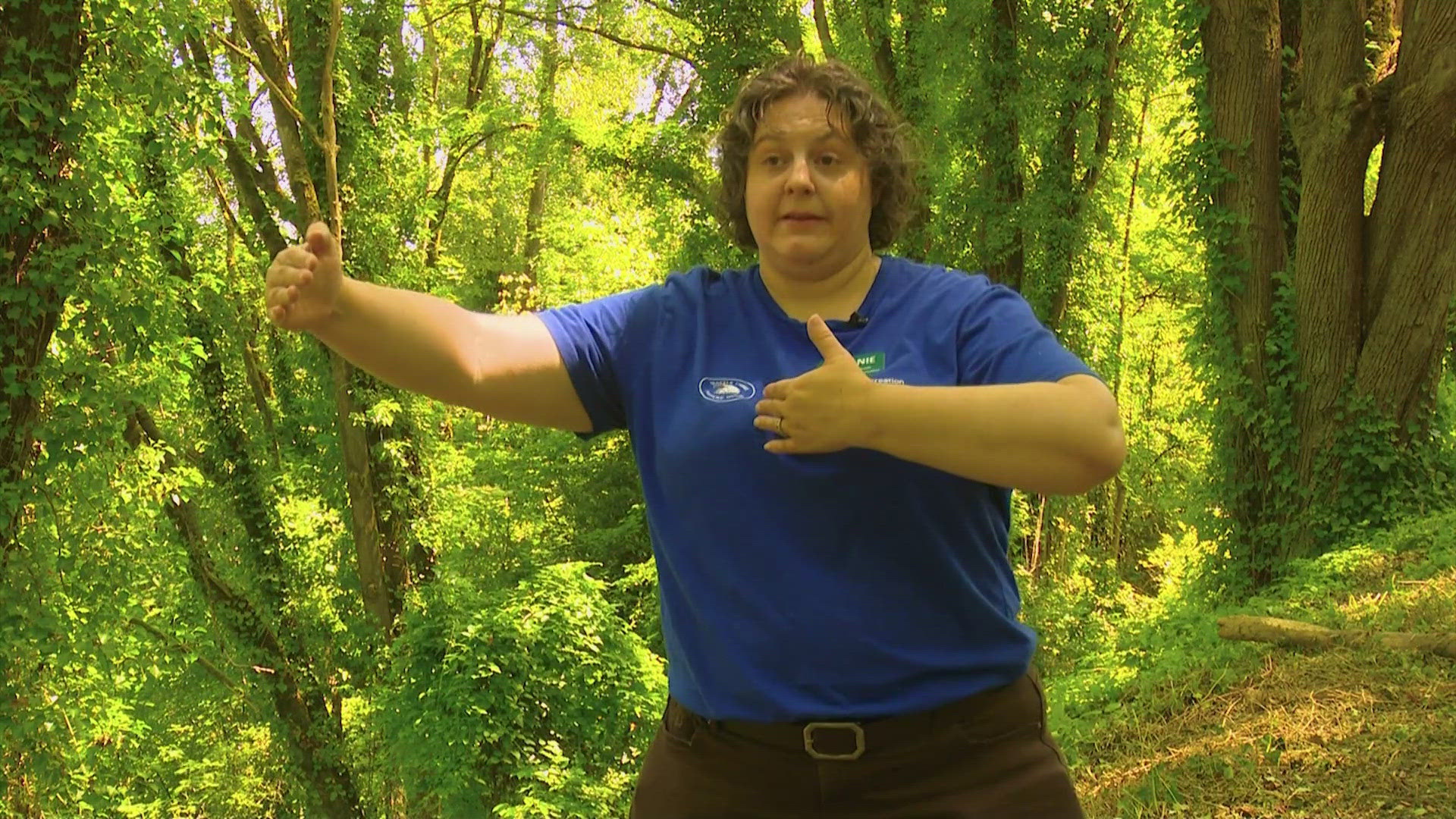 Washington bans sale of English ivy to protect native plants | king5.com