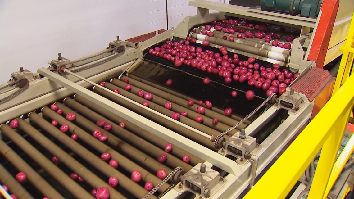 Imperfect potatoes helping feed the hungry in western Washington ...