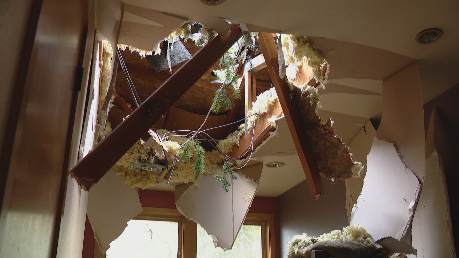 Overnight windstorm cuts power to thousands in WA | king5.com