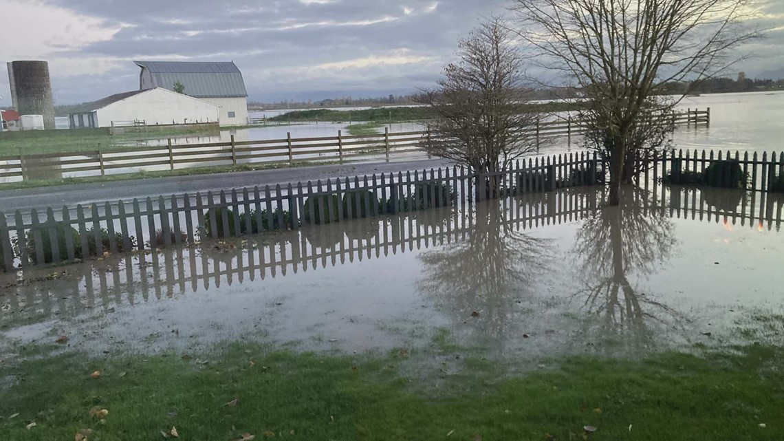 Whatcom County dairy farmers hit hard by extensive flooding | king5.com