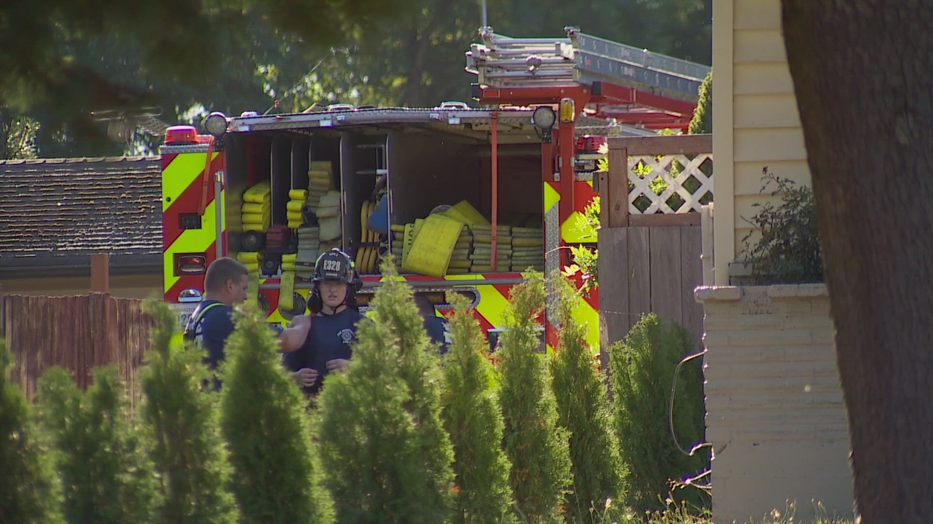 Burien man sparks brush fire while trying to get rid of bee hive ...