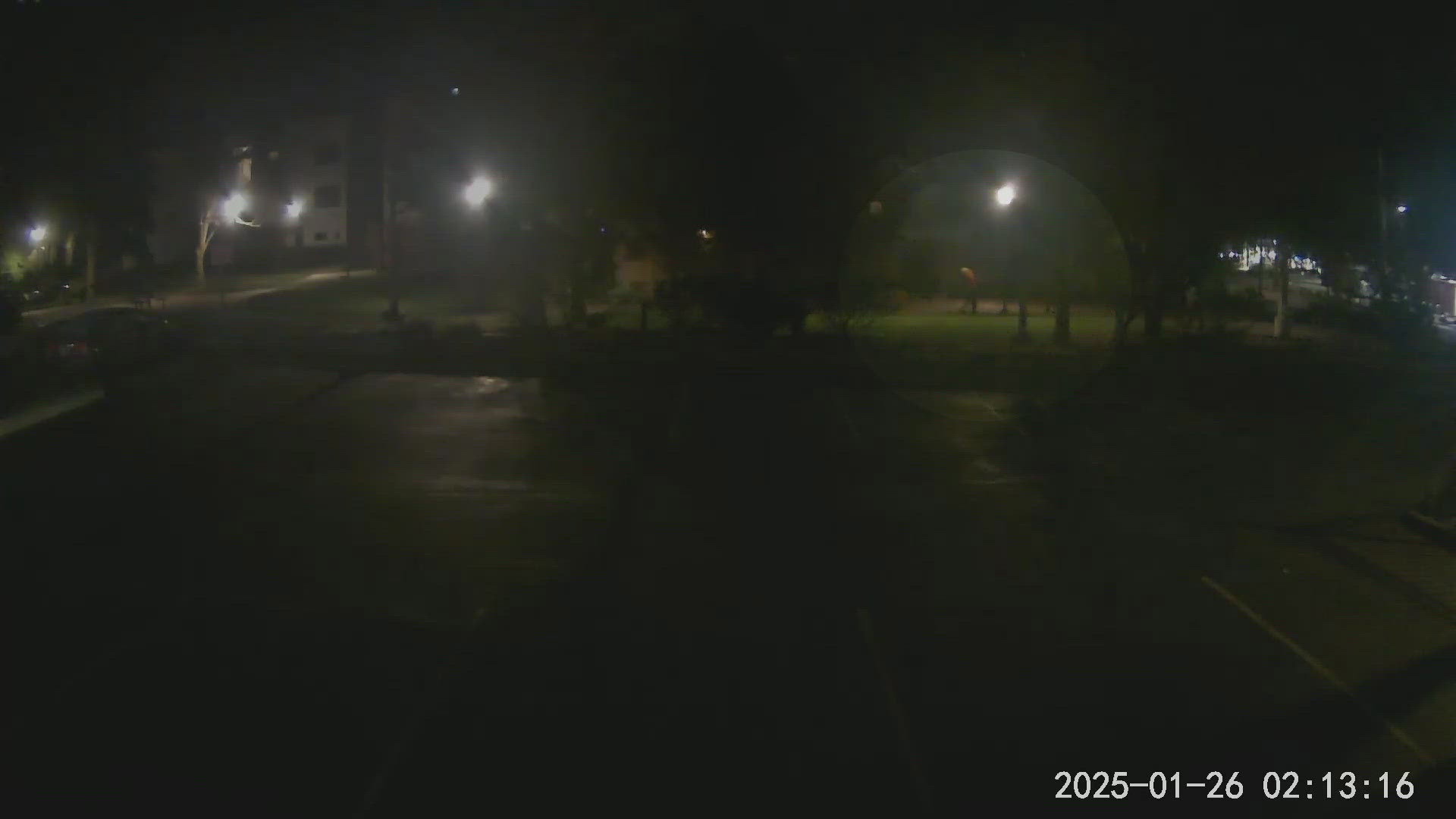 Surveillance video shows fatal shooting in Seattle park | king5.com