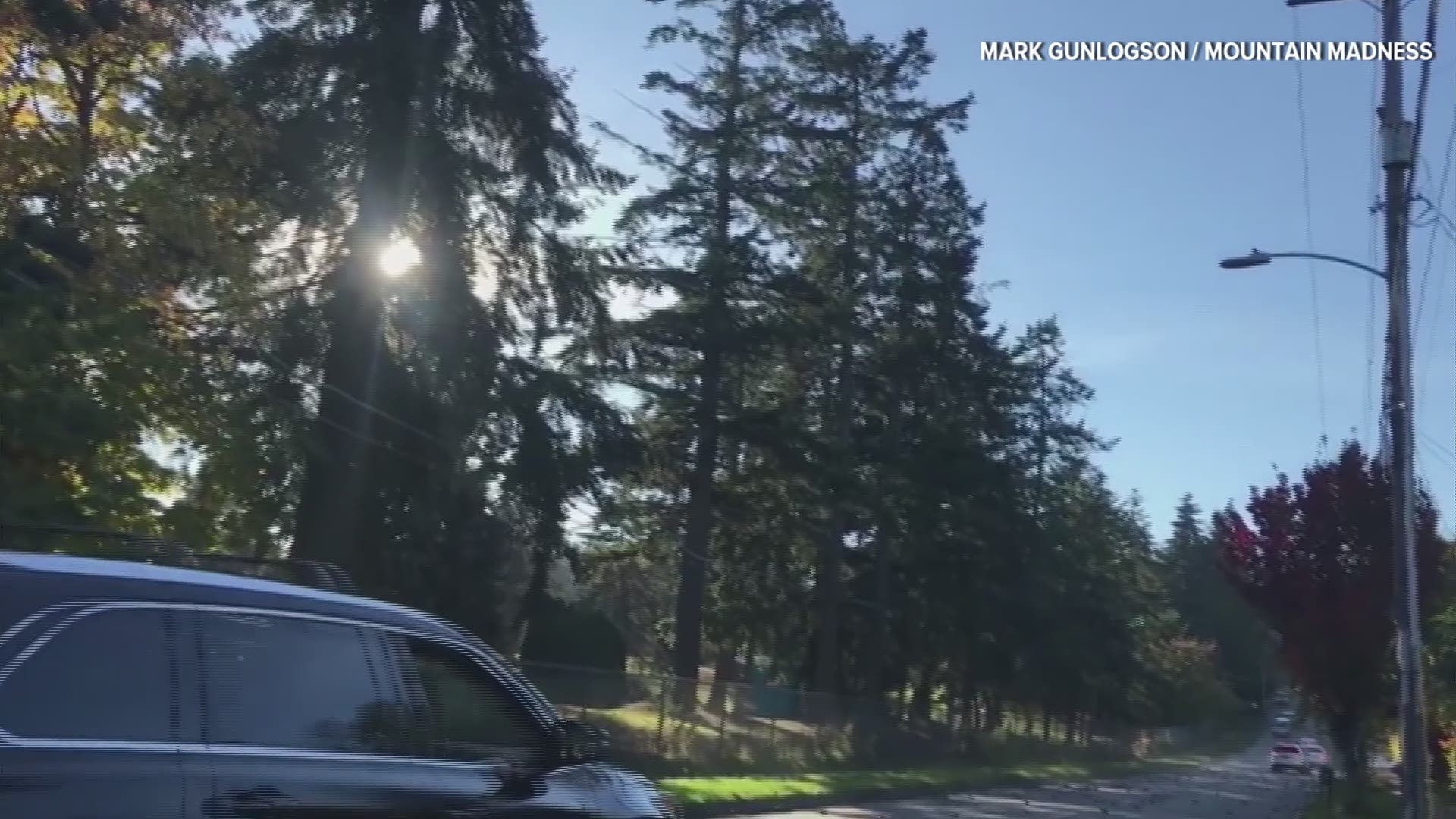 Steel balls bounced down West Seattle street | king5.com