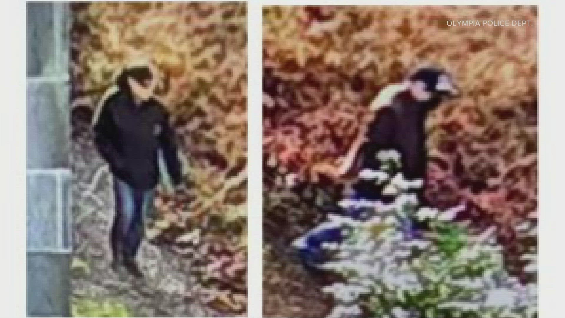 Olympia police looking for armed robbers | king5.com