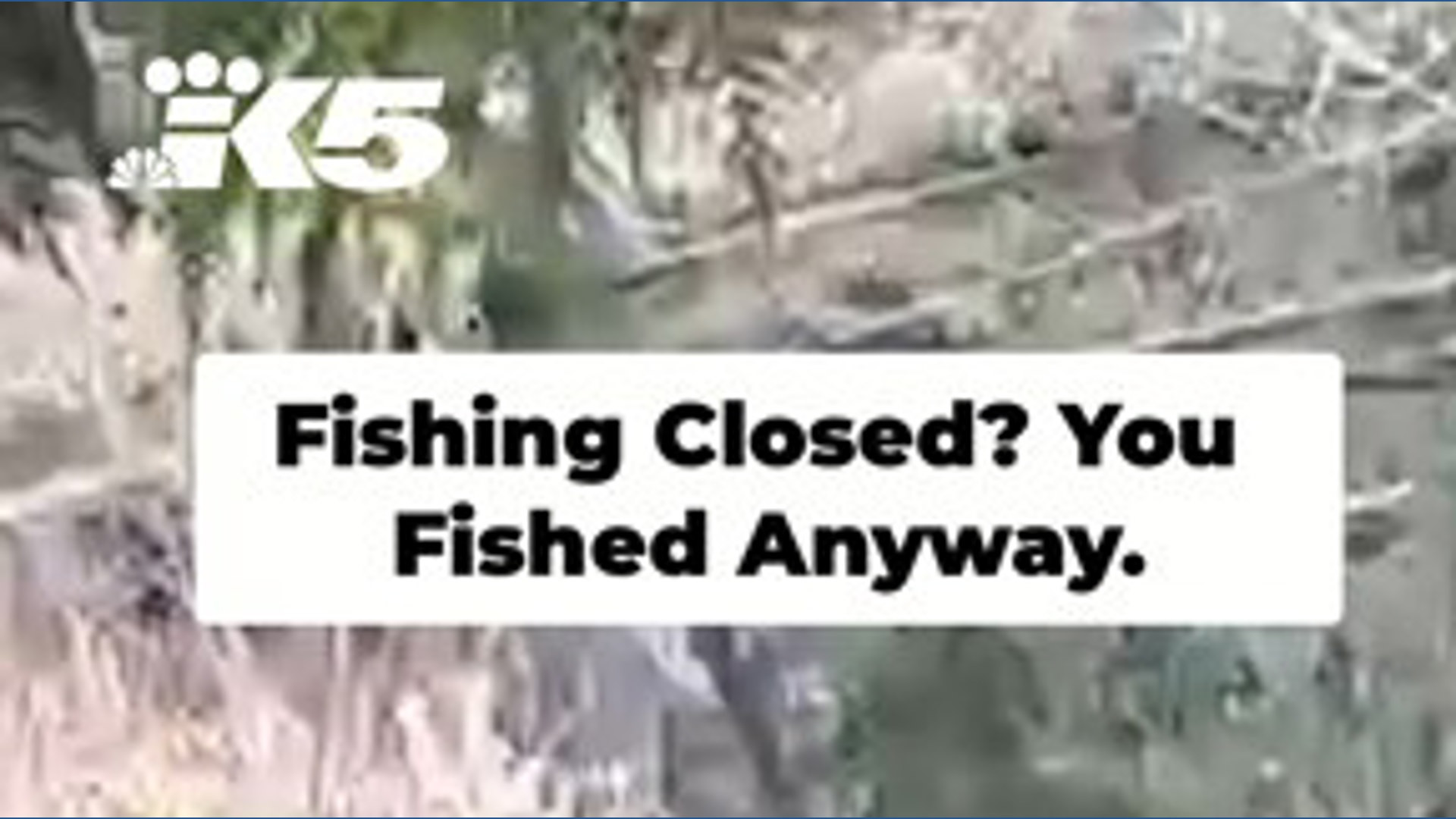 Fish and Wildlife Police catch illegal fishing crew | king5.com