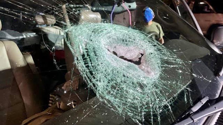 Video shows person throwing objects at cars on I-90 in Seattle Friday ...