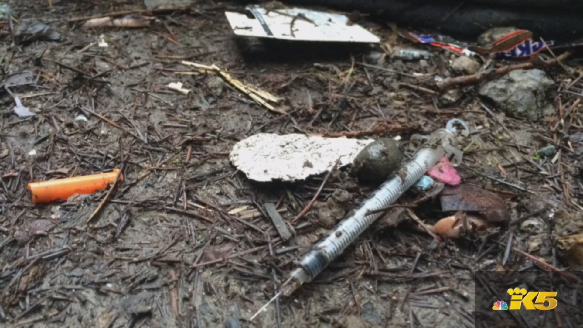 Brothers found guilty in 2016 Seattle ‘Jungle’ camp murders | king5.com