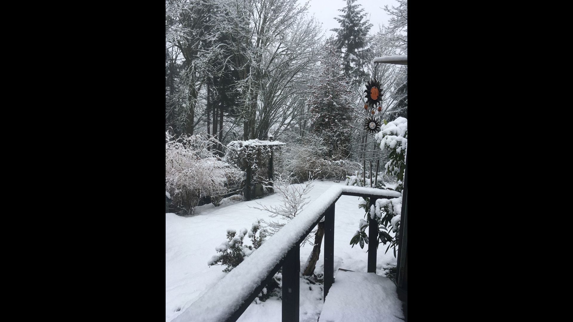 Near Me | Photos and Videos | king5.com