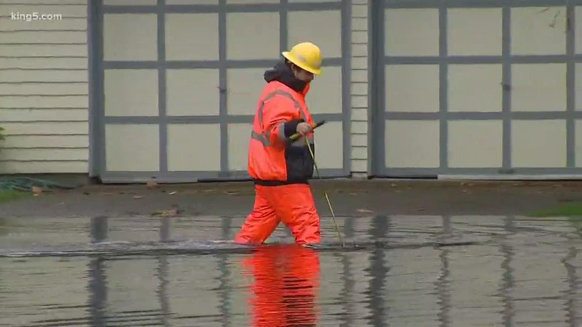 Smashed beaver dam caused Mill Creek neighborhood to flood | king5.com