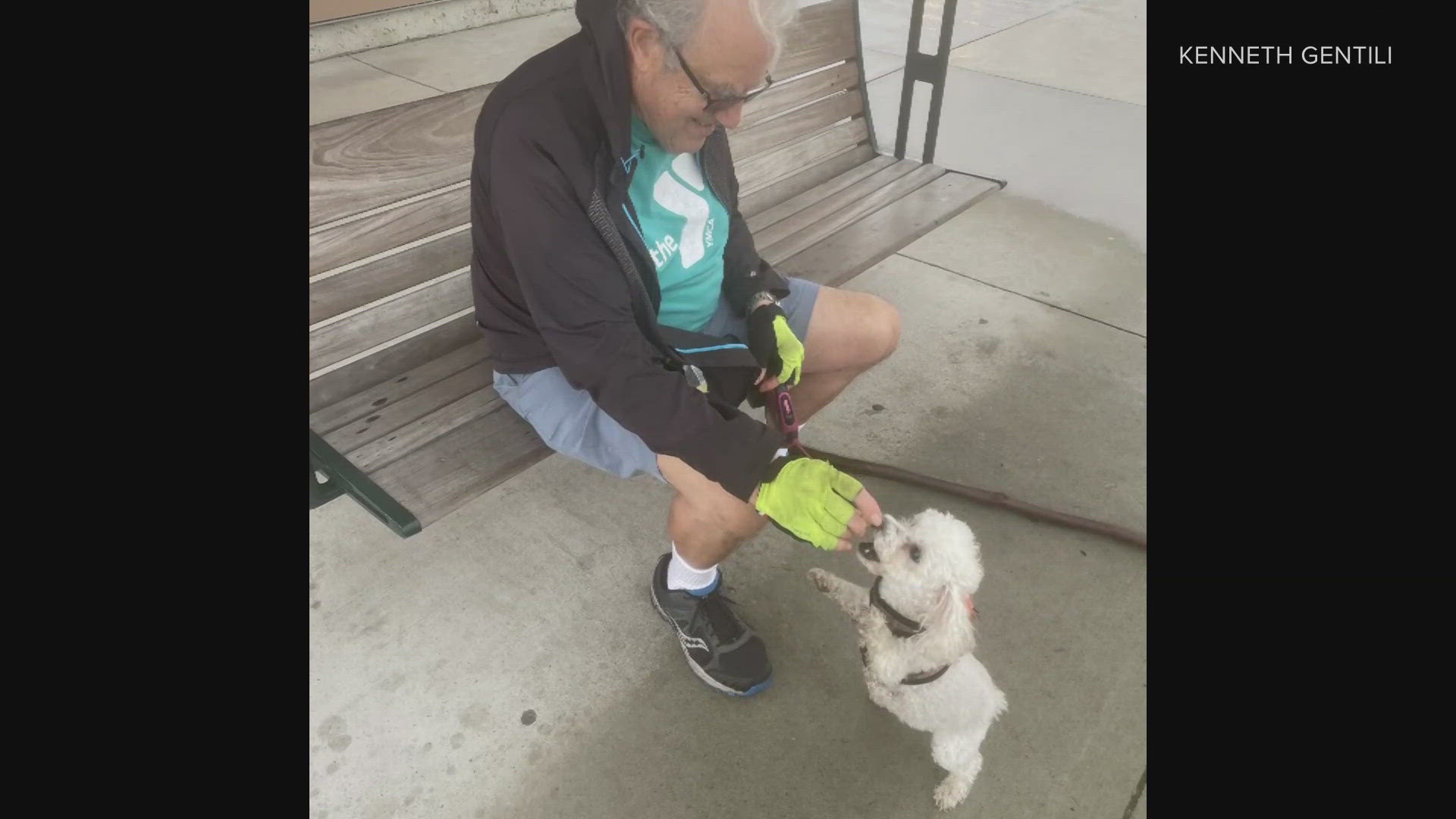 Tacoma resident spreads awareness after dog's sudden death at popular ...