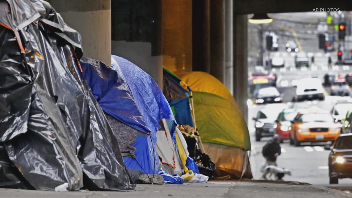 Program hires homeless to clean parks, roadways | king5.com