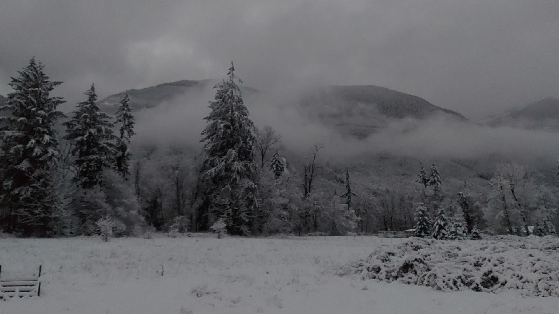 PHOTOS: Snow falls across western Washington | king5.com