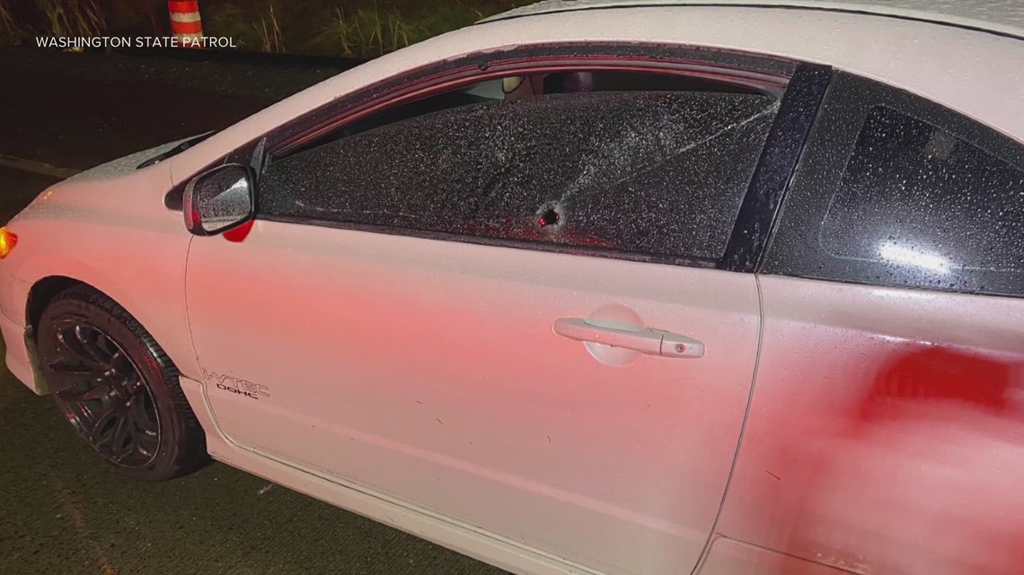 Troopers investigating at least 6 highway shootings in south King ...