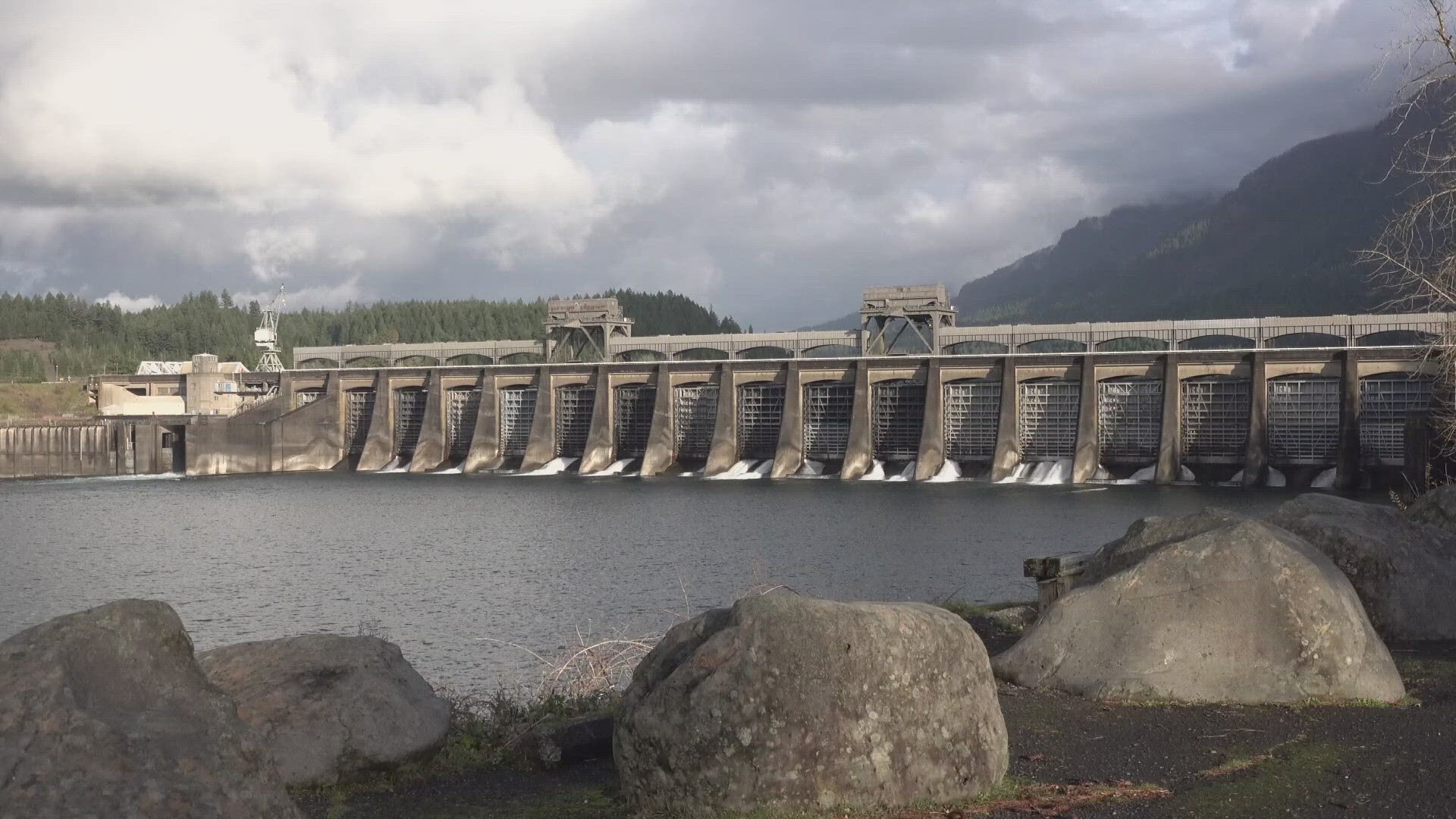 The cost of dam removal studied | king5.com