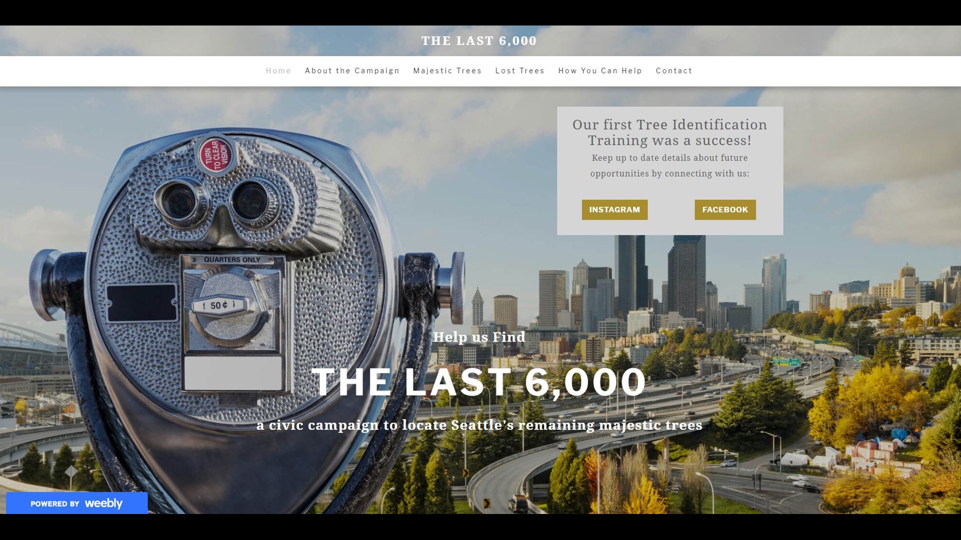 Is one of Seattle's 'Last 6000' exceptional trees in your yard? | king5.com