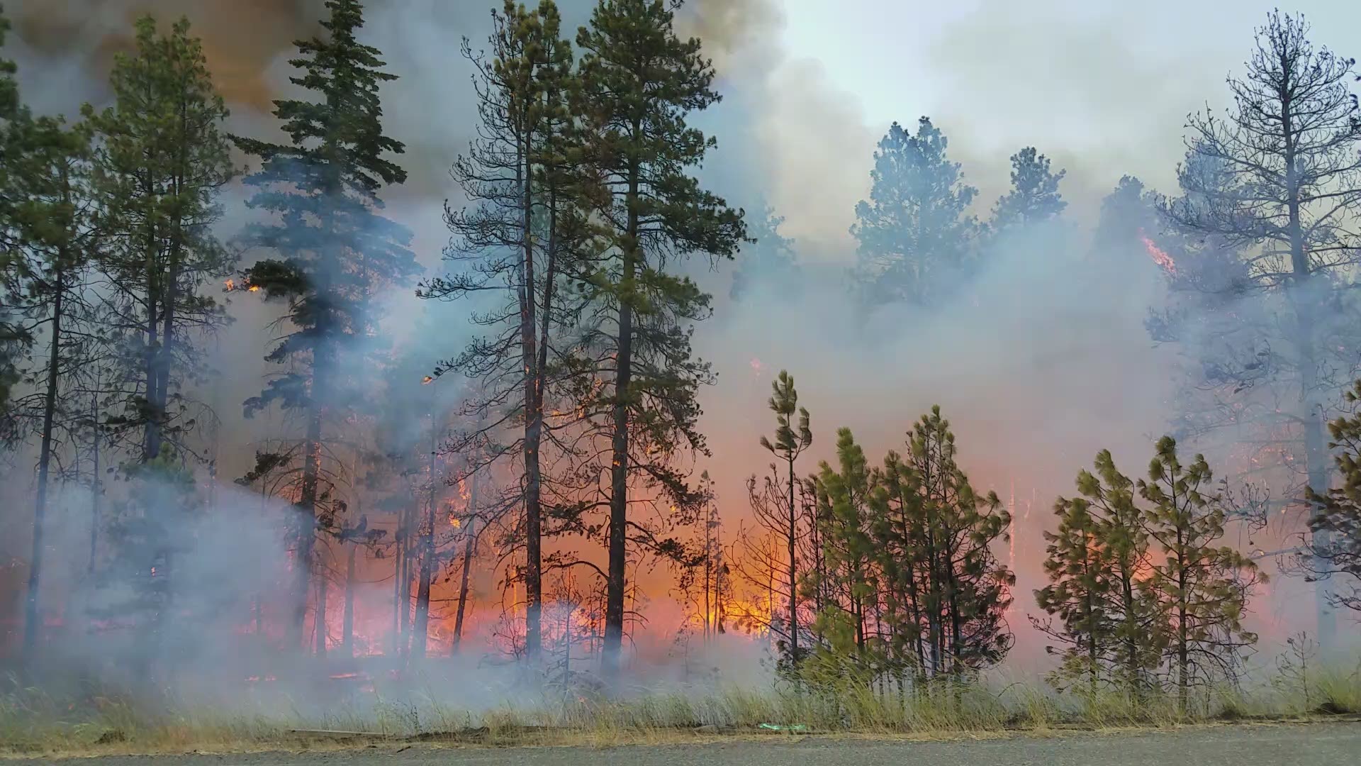 I-90 near Cle Elum open after wildfire closure | king5.com