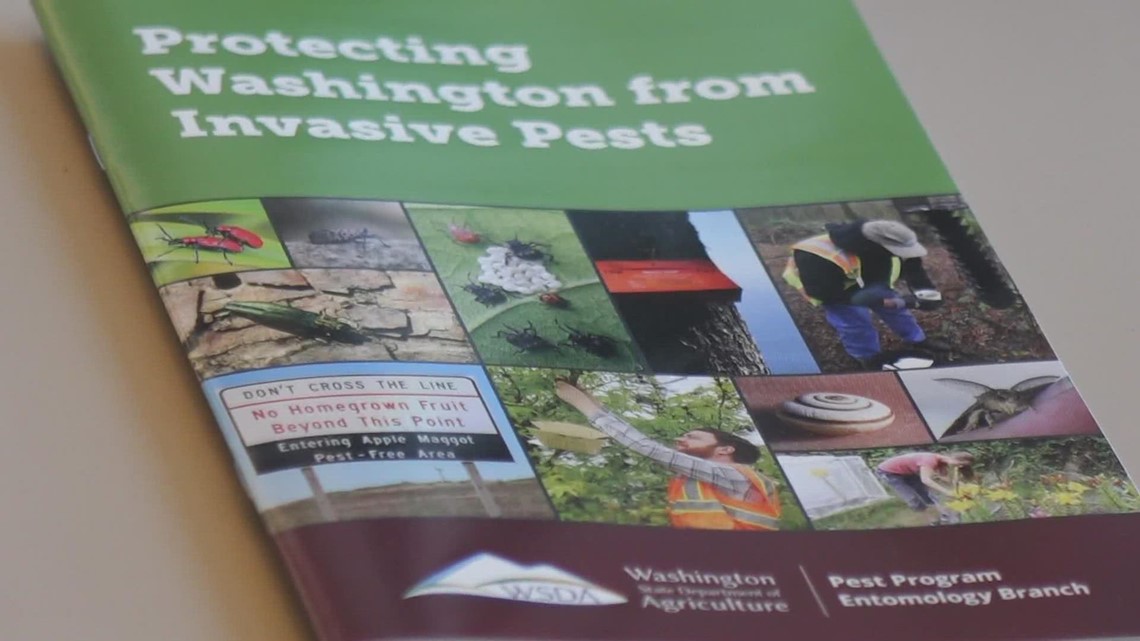 Washington state organizations hold art contest to highlight invasive ...