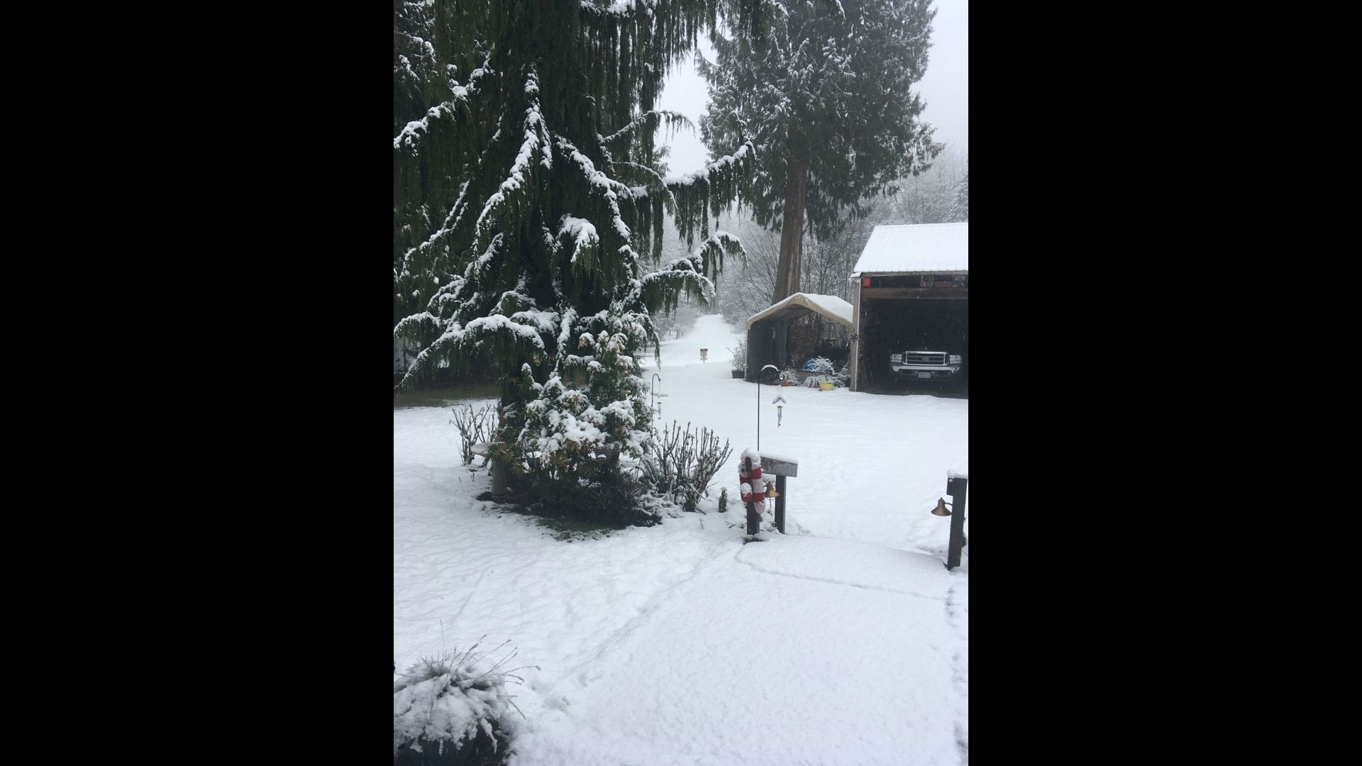 Near Me | Photos and Videos | king5.com